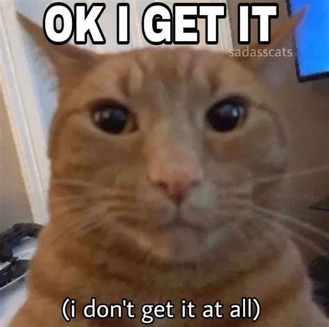 Me When My Boss Tells Me To Do Something R Heb