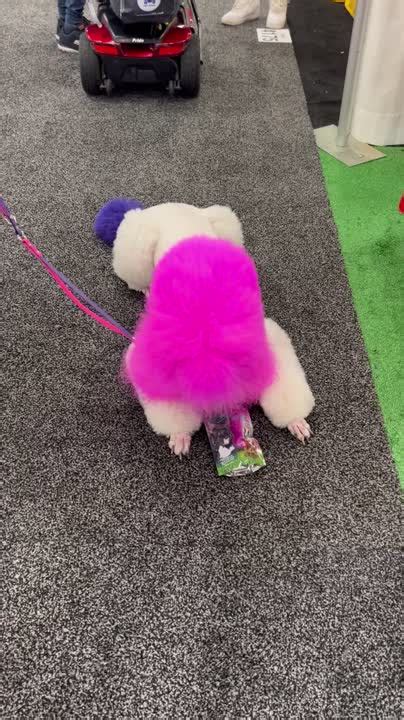 Susan Traub On Linkedin Sabrinis Customer Has Come Back To Sabrinis