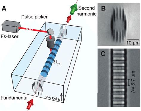 A Schematic Of A Qpm Waveguide In Z Cut Lithium Niobate Optical
