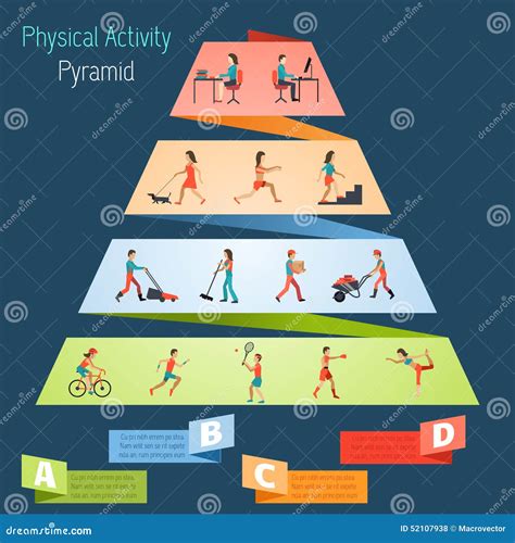Physical Activity Pyramid Infographics Stock Vector Illustration Of