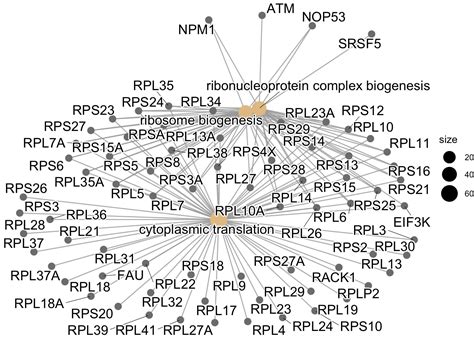Gene Ontology Go And Data Integration For Scrna Seq Bioinformatics