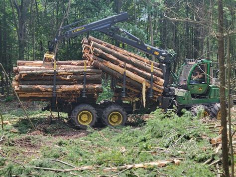 Northern Mi Forestry Logging Company We Buy Standing Timber