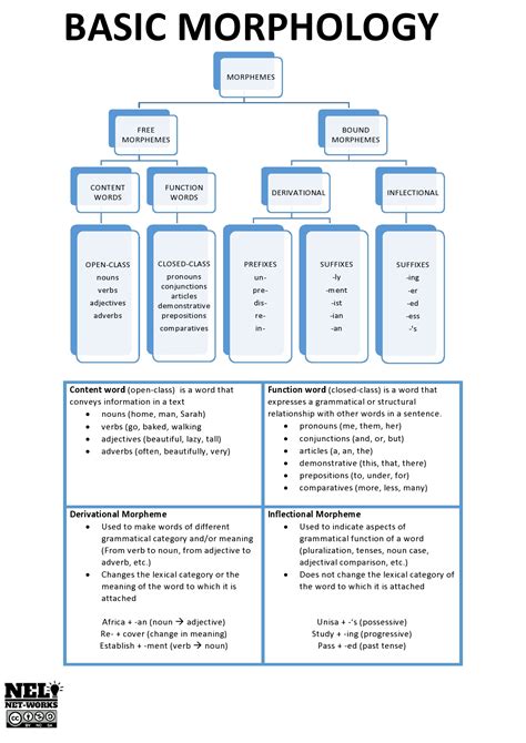 Basic Morphology