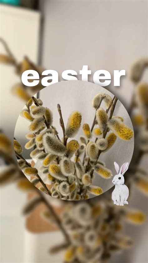Easter Пасха Инстаграм