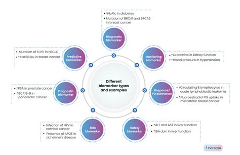 Biomarker Analysis Identifying Challenges And Opportunities