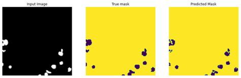 GitHub Hazirafidi P Cell Nuclei Detection Via Semantic Segmentation Semantic Segmentation