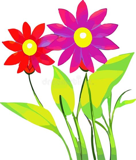 Beautiful Flower On White Background Stock Vector Illustration Of Vintage Celebration 256090962