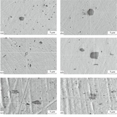 Microstructure Of The Bronze Sample No 10 According To The Tem