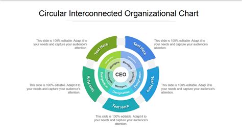 Top 10 Circular Organizational Chart Templates With Samples And Examples