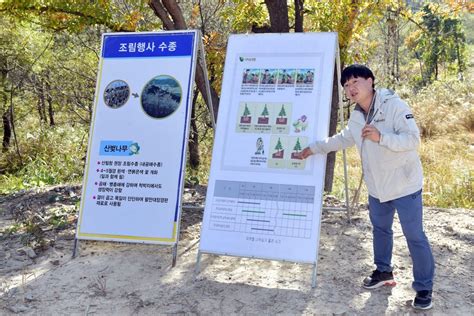 사진 Sk이노베이션 계열 구성원 산불피해지역에 희망을 심다 Sk이노베이션 뉴스룸 Skinno News