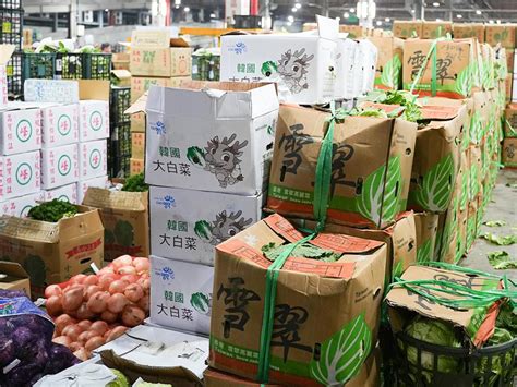 北市菜價飆破60元！驚見150元高麗菜 農糧署：12月中有望回穩