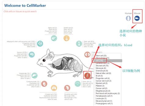 Seqkit根据基因id10x单细胞精选文章 手把手教你用marker基因定义细胞亚群 Csdn博客