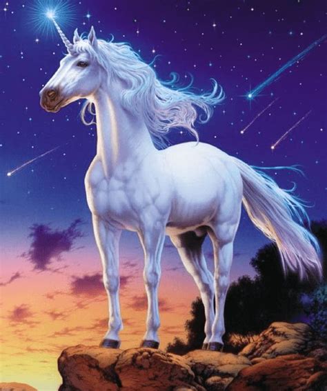 Pin Su Unicornios