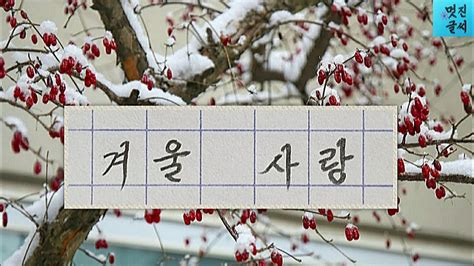겨울 감성이 돋는 사랑시 한 편 소개합니다 ☆겨울사랑 Youtube