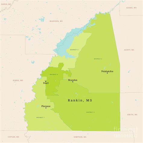Ms Rankin County Vector Map Green Digital Art By Frank Ramspott Pixels