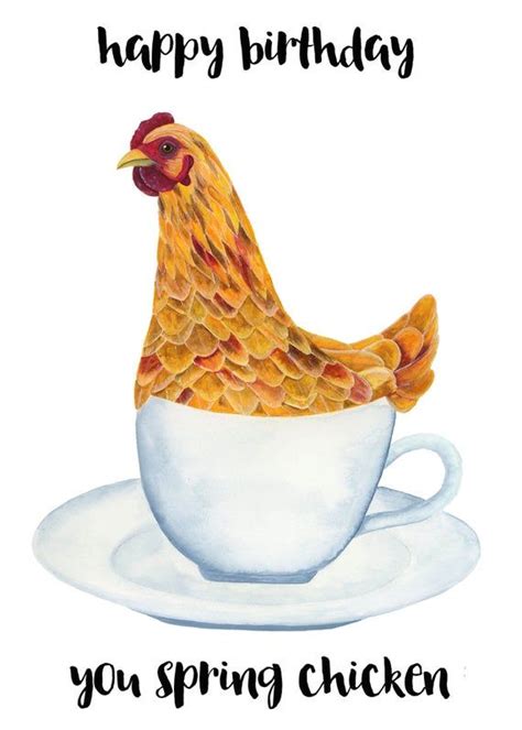 Funny Birthday Card Happy Birthday You Spring Chicken