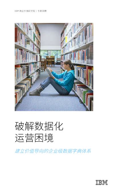 破解数据化运营困境建立价值导向的企业级数据字典体系