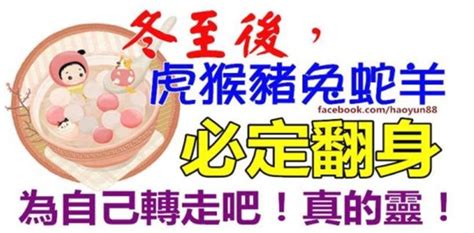 冬至後，虎猴豬兔蛇羊必定翻身，為自己轉走吧！不勉強！真的靈！ Peekme