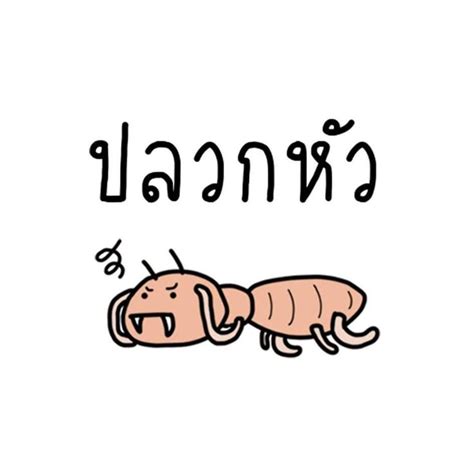 ปักพินโดย Thanapat Phenix ใน มีมตลกๆ ข้อความตลกๆ คำคมตลก มีมตลกๆ