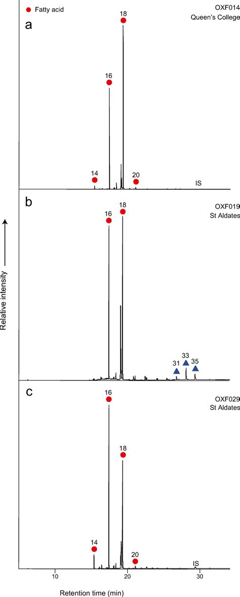 Partial Gas Chromatograms Of Trimethylsilylated Fames Showing Typical