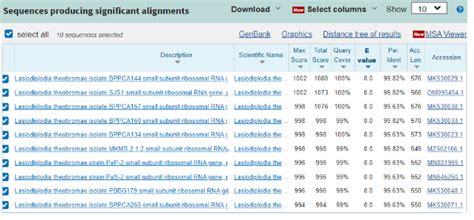 Top 10 Hit Blast Results Against Ncbi Database Of The Sequence Assembly