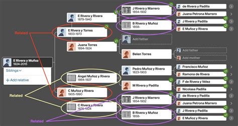 Three Layers Of Consanguinity Boricuagenes