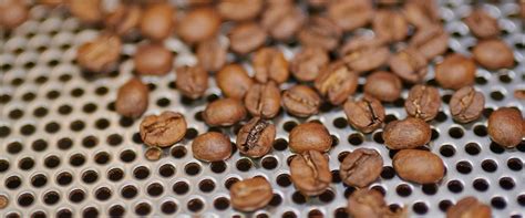 The Importance Of Cafe Staff Training Peaberrys Coffee Roasters