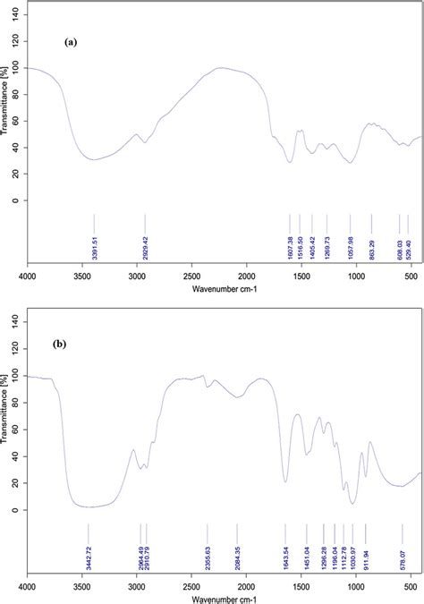 A The Ftir Spectrum Of Eucalyptus Extract And B Ftir Spectrum Of
