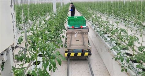 정부 5년내 전국 온실 35 스마트팜으로밭작물 20 스마트화