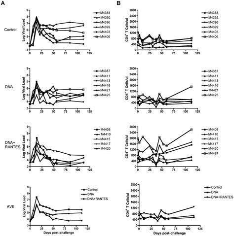 Viral Load And Cd4 Counts In Rms After Viral Challenge Viral Load Was Download Scientific