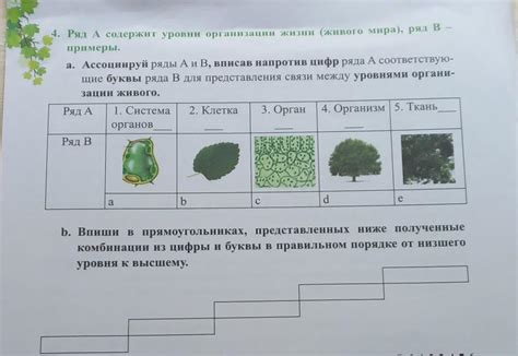 помогите пожалуйста сделать задание по биологии Школьные Знания Com