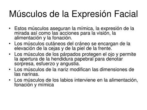 PPT Músculos de la Expresión Facial Cuello PowerPoint Presentation