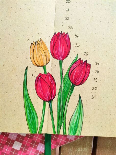 A Drawing Of Three Tulips On A Piece Of Paper Next To A Ruler