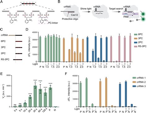 Photocontrolled Crrna Activation Enables Robust Crispr Cas12a