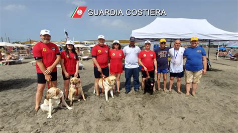 Un Tuffo Nel Blu Per LAutismo Scende In Campo Anche La Guardia
