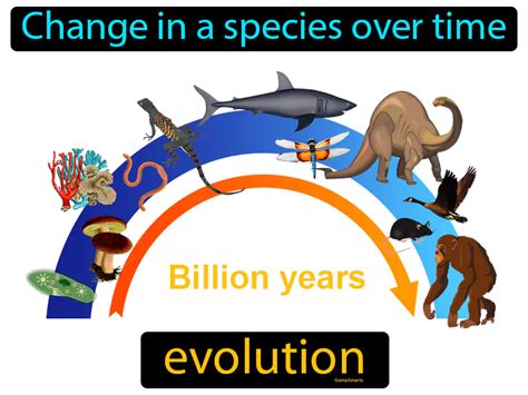 Evolution Definition Easy To Understand Image With Audio GradesUp Gg