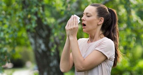 Home Atlanta Allergy And Asthma