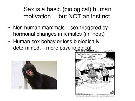 PPT Sexual Motivation PowerPoint Presentation Free Download ID