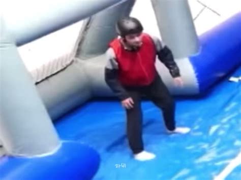 라뱌 on Twitter 에 저희집 말랑찐빵이가 맞습니다 https t co JUoPEv0GC4 Twitter