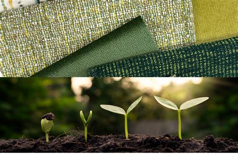 Our Transition To Pfas Free Textiles Lebatex