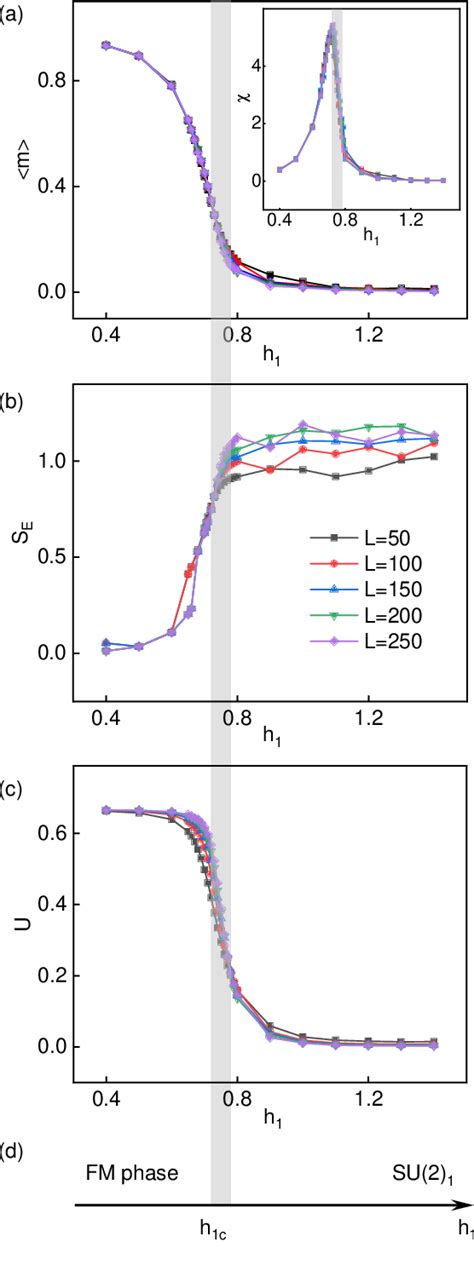 Figure 1 From Phase Diagram Of A One Dimensional Ising Model With An Anomalous Z2 Symmetry