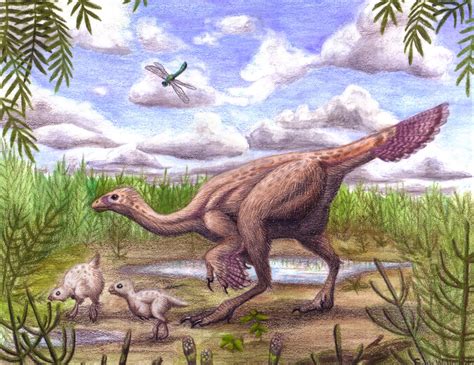 Caudipteryx Emily Willoughby Art