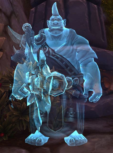 Anciano Protector De La Puerta Pnj World Of Warcraft