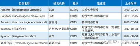 国内第2款！药明巨诺cd19 Car T疗法获批 9月3日， 药明巨诺 靶向cd19自体嵌合抗原受体（car）t细胞疗法瑞基仑赛