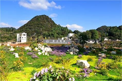 “清凉曲靖”打造文旅融合新体验新华企业资讯