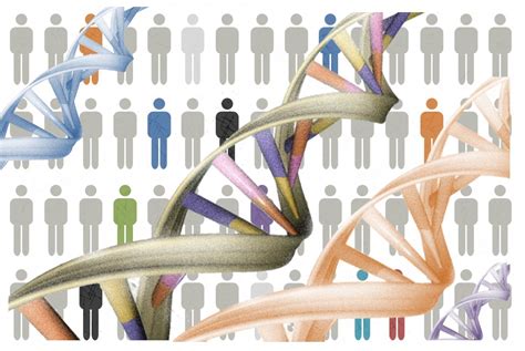 Cuántos genes tiene el genoma humano Genotipia