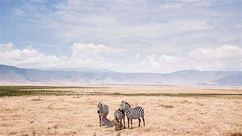 National Geographic Eligió Las Mejores Fotos De 2014 Infobae