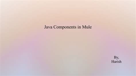 Java Components In Mule Ppt