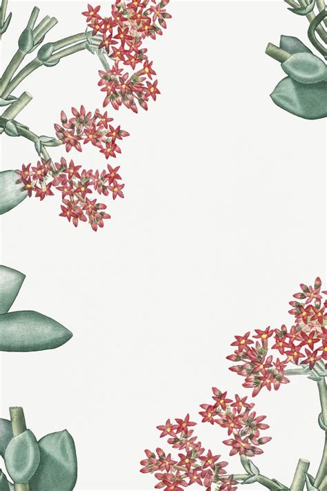 手绘仙人掌和多汁框架插图素材 高清图片 摄影照片 寻图免费打包下载