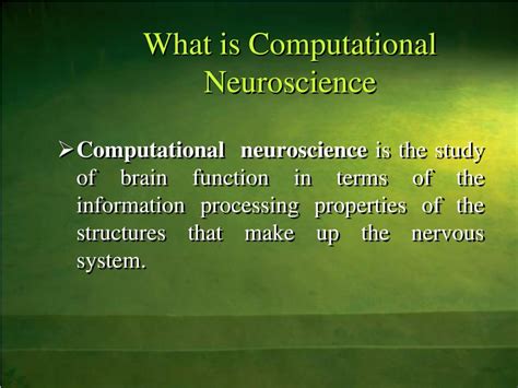 Ppt Computational Neuroscience Powerpoint Presentation Free Download
